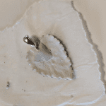 Make a Art Clay Silver Leaf Pendant | Cooksongold Blog