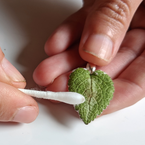 Make a Art Clay Silver Leaf Pendant | Cooksongold Blog