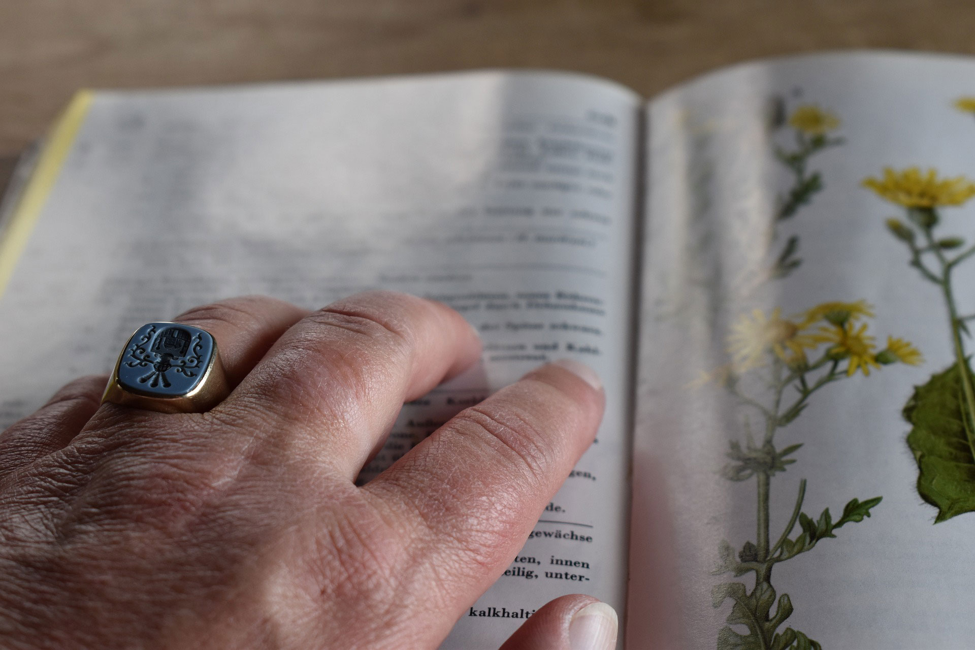 The History of Signet Rings: From Cultural Item to Fashion Statement ...